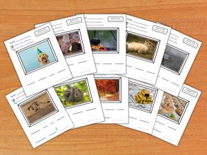 Sentence Dictation: A Powerful Way to Apply Targeted Skills ...