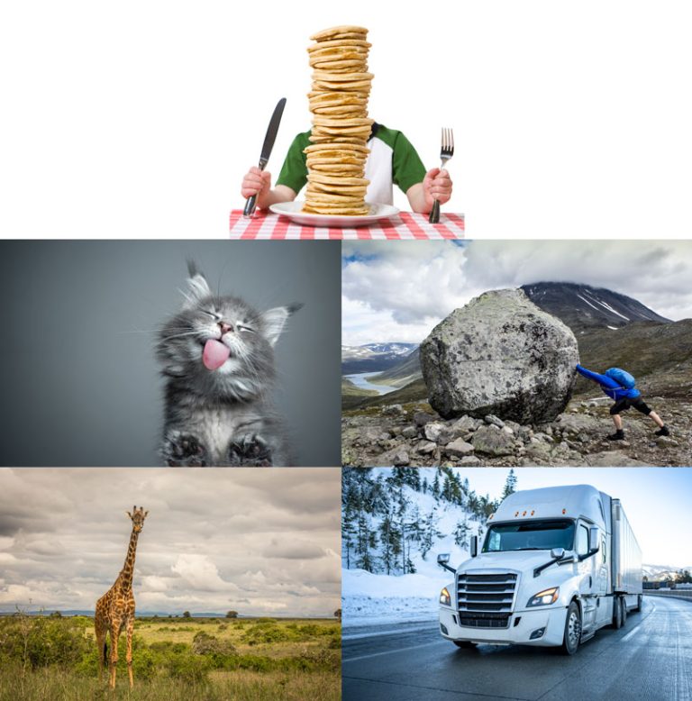 How to Teach Digraph CK - Do We Need the Rules? - PhonoLovable Literacy