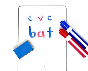 Short A CVC Word Lists and Engaging Ideas for Quick and Easy Student ...