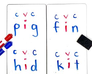 Short I CVC Words to Know and Simple Lessons That Will Make Successful ...