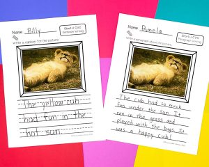 Sentence Dictation: A Powerful Way to Apply Targeted Skills ...