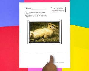 Sentence Dictation: A Powerful Way to Apply Targeted Skills ...