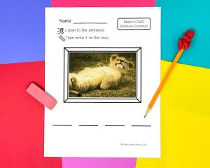 Sentence Dictation: A Powerful Way to Apply Targeted Skills ...