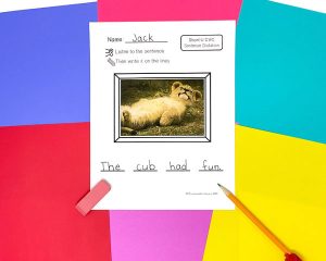 Sentence Dictation: A Powerful Way to Apply Targeted Skills ...